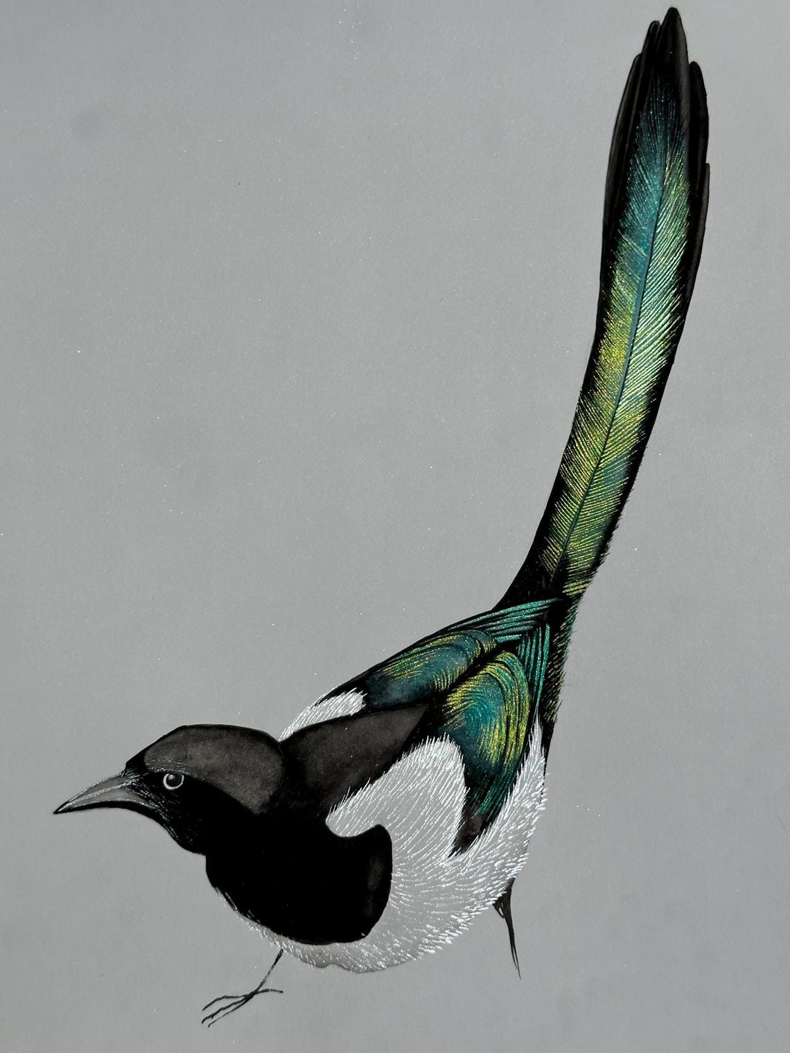 Iridescence Feather Magpie - Etsy