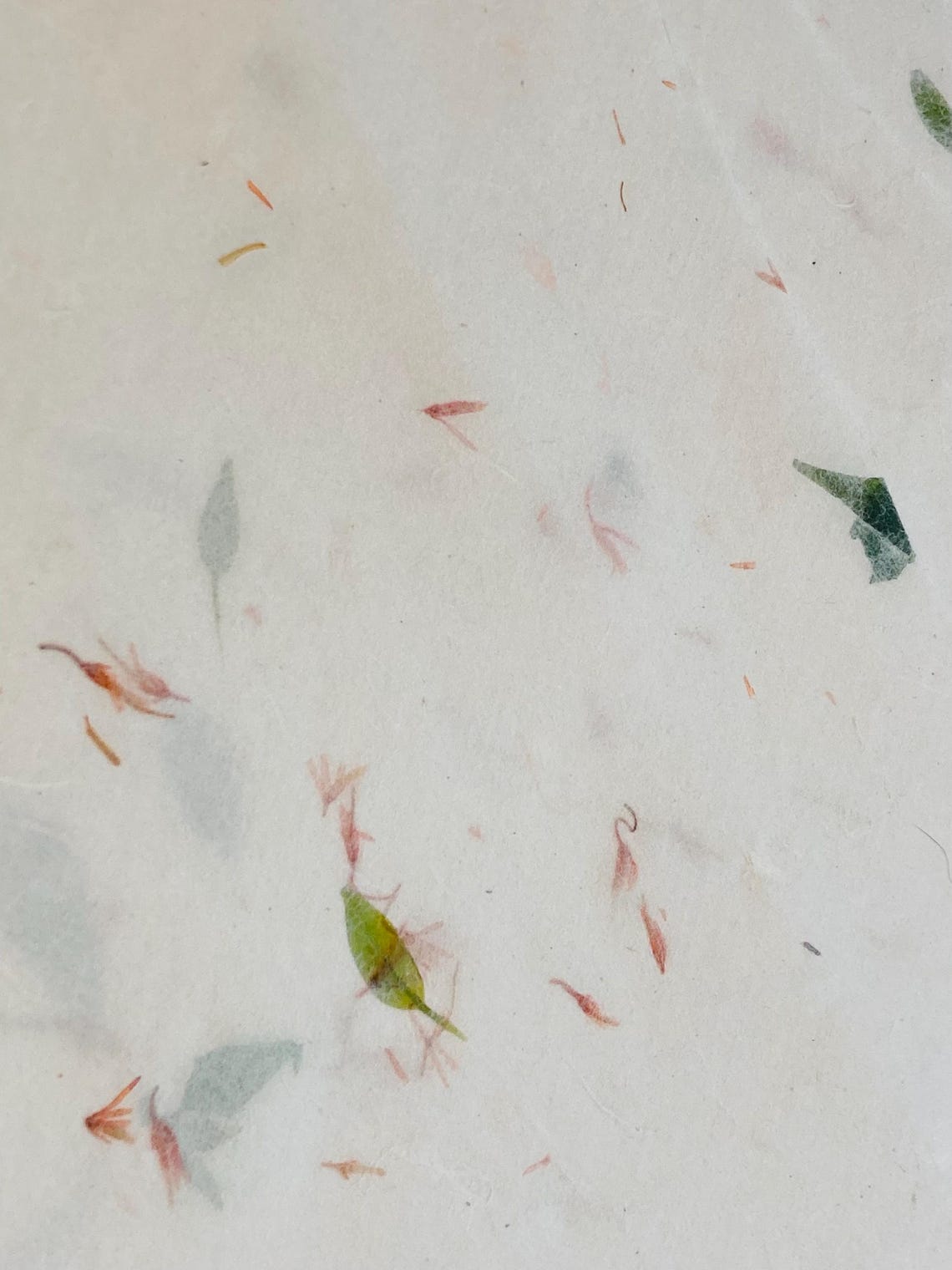 Decorative Tea Leaf and Safflower Rice Paper, Decorative Rice Paper ...