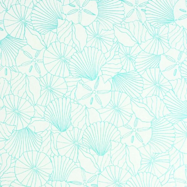 Turquoise Seashell - Etsy