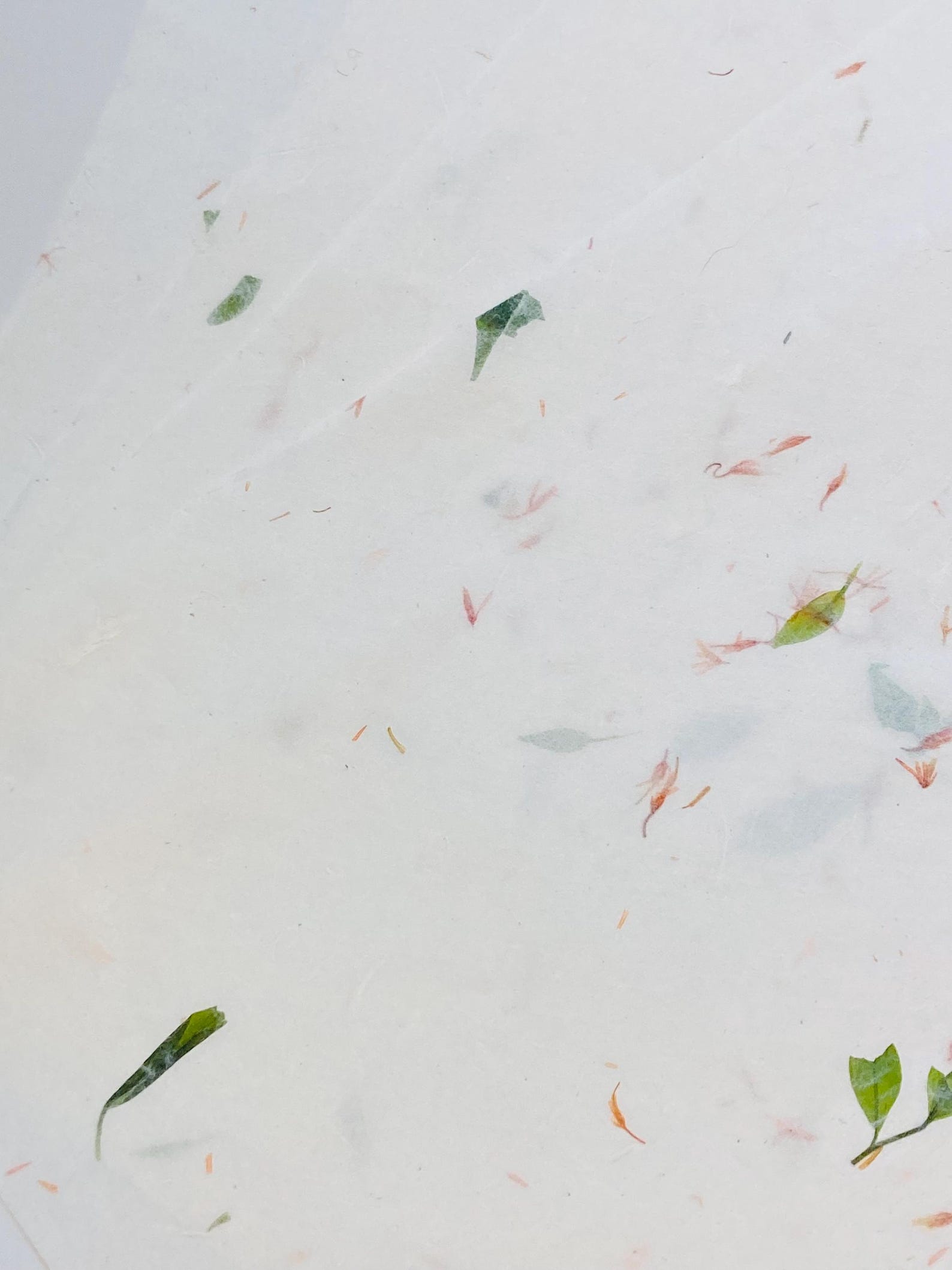 Decorative Tea Leaf and Safflower Rice Paper, Decorative Rice Paper ...