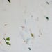 Decorative Tea Leaf and Safflower Rice Paper, Decorative Rice Paper ...