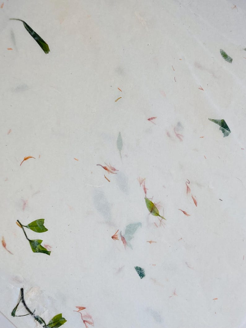 Decorative Tea Leaf and Safflower Rice Paper, Decorative Rice Paper ...