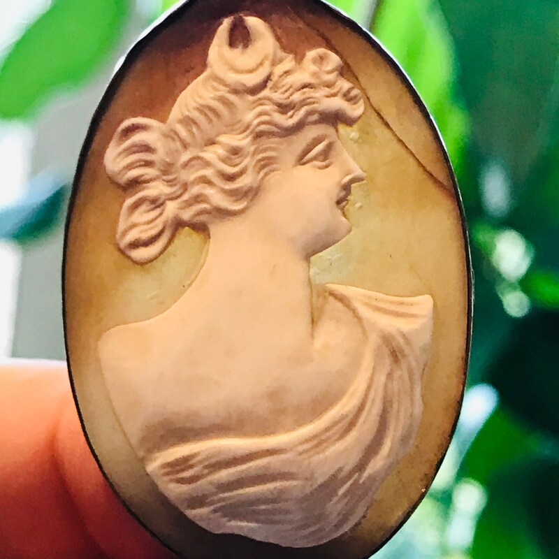 Shell Cameo - Etsy