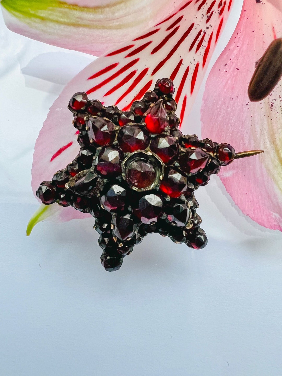 Antique Victorian Garnet Brooch. Bohemian Garnets Brooch. Pyrope ...