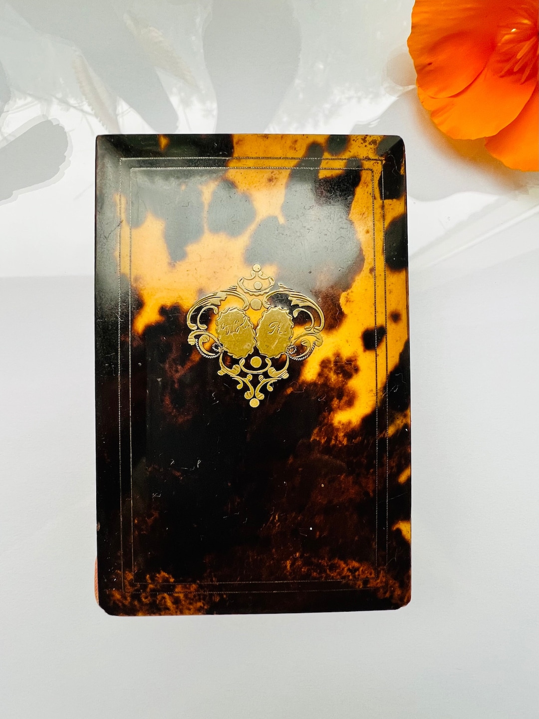 Antique Victorian Marine Reptile Shell Notebook. Antique Notebook Bound ...