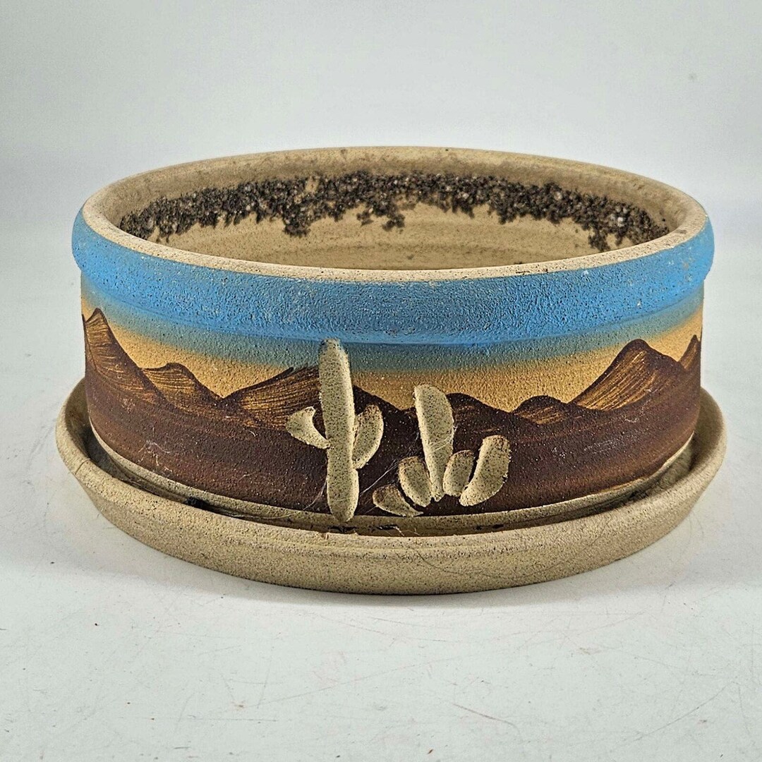 Studio Art Pottery Southwest Cactus Detail Low Stoneware Planter W ...