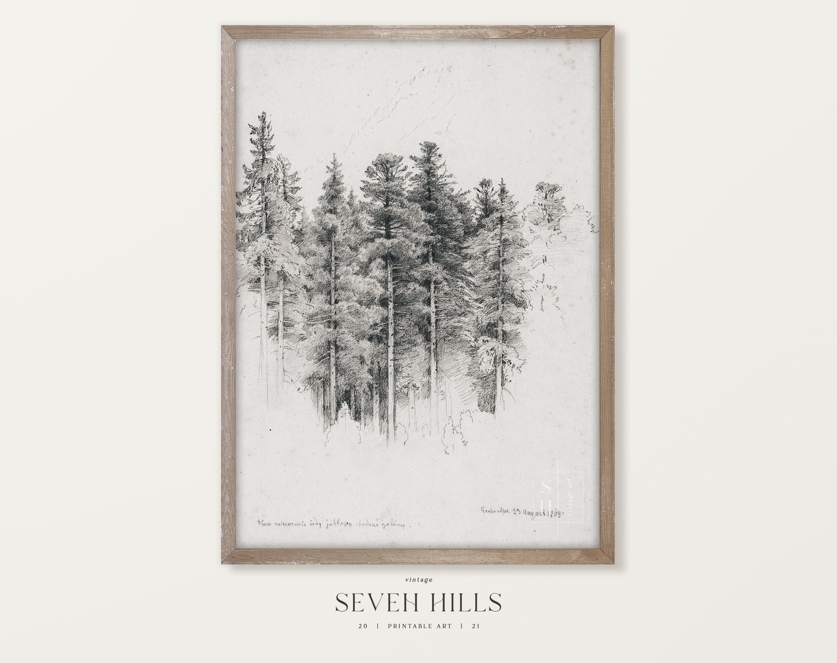 Pine Tree Forest Drawing