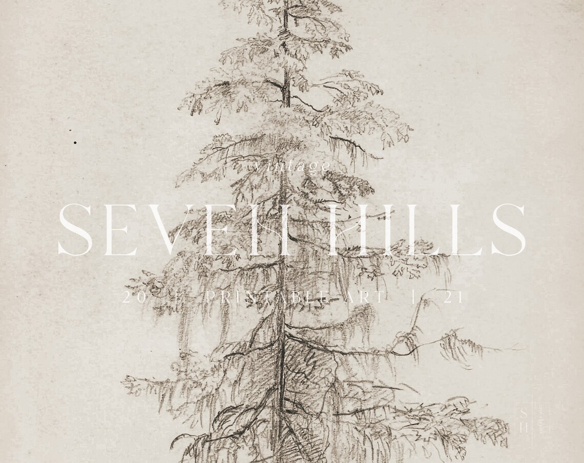 Pine Tree Sketch Printable Vintage Painting Vertical | Etsy
