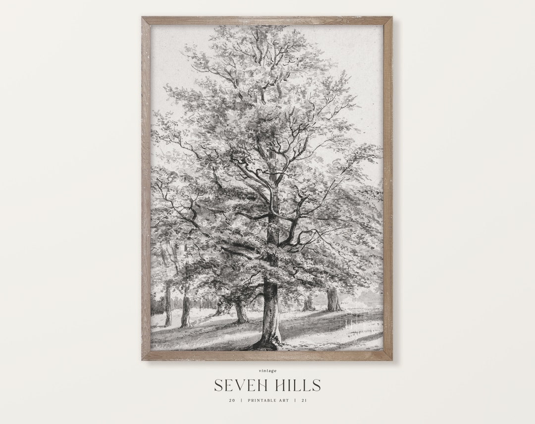 Antique Tree Sketch Drawing Print, Farmhouse Botanical Wall Art ...