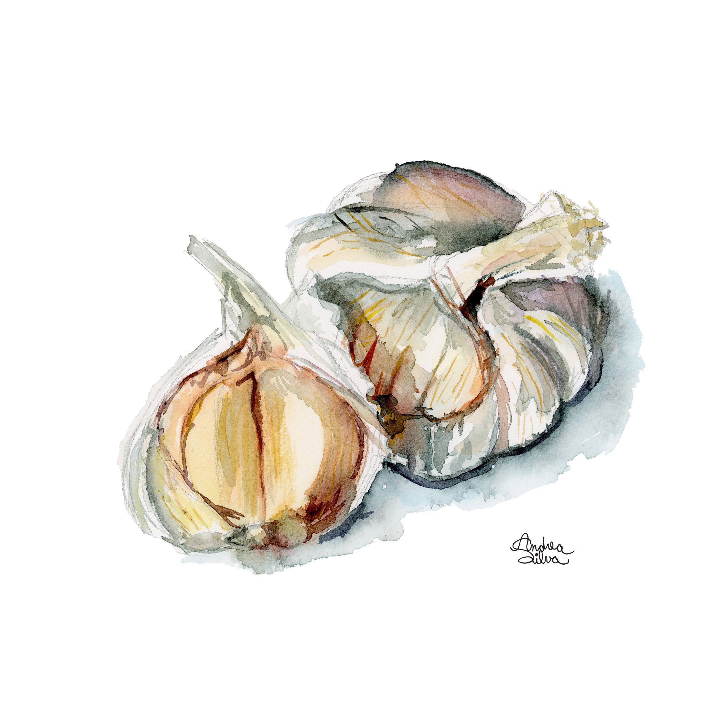 Garlic Watercolor Print - Etsy