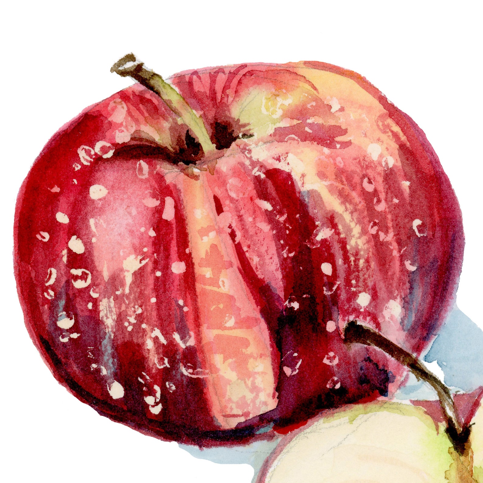 Apples Watercolor Print - Etsy