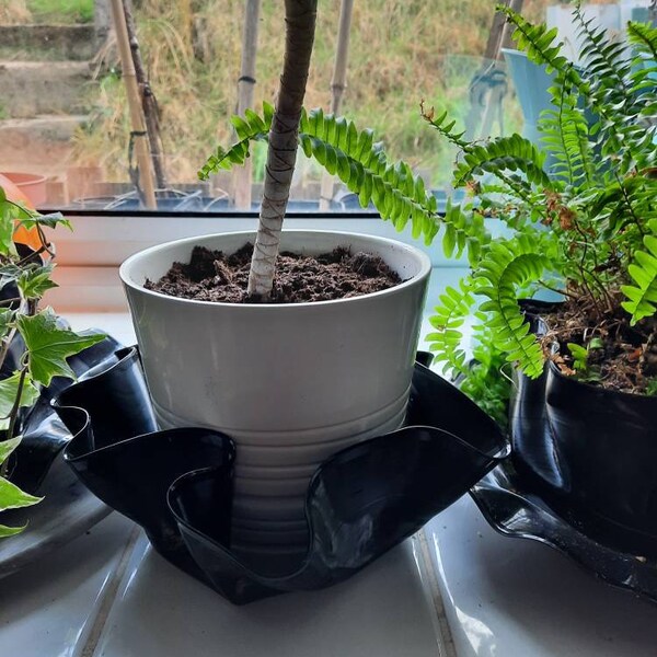 Vinyl Record Plant Pot - Etsy