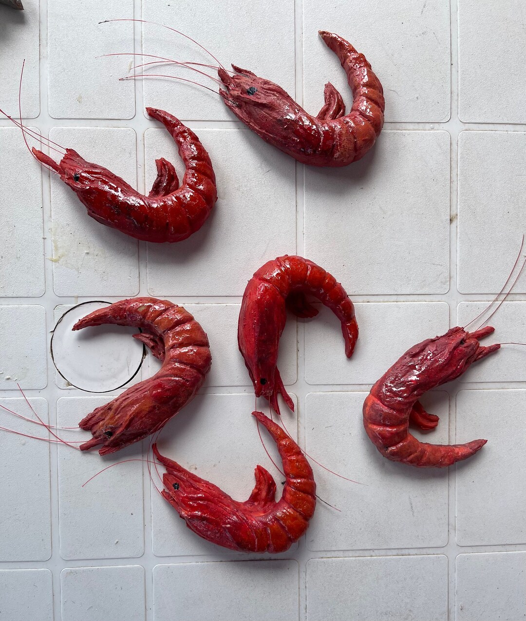 Realistic Fake Prawns for Display / 1:1 Scale - Etsy