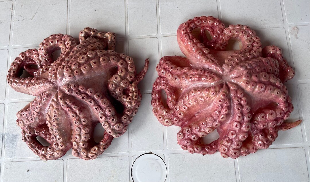 Realistic Fake Octopus for Display / 1:1 Scale - Etsy