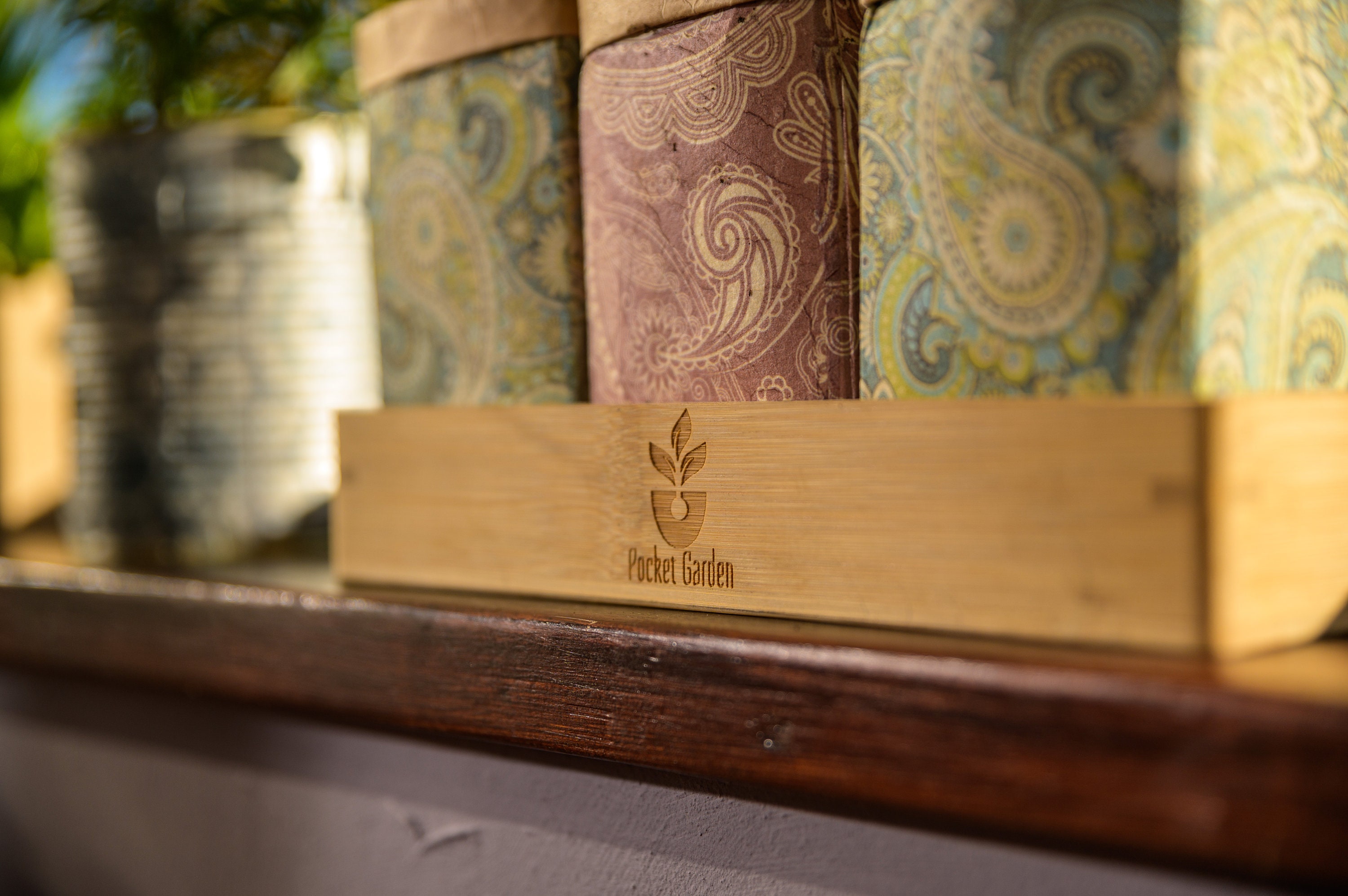 DIY Herb Garden Craft Set in Bamboo Box Upcycling Set Window - Etsy