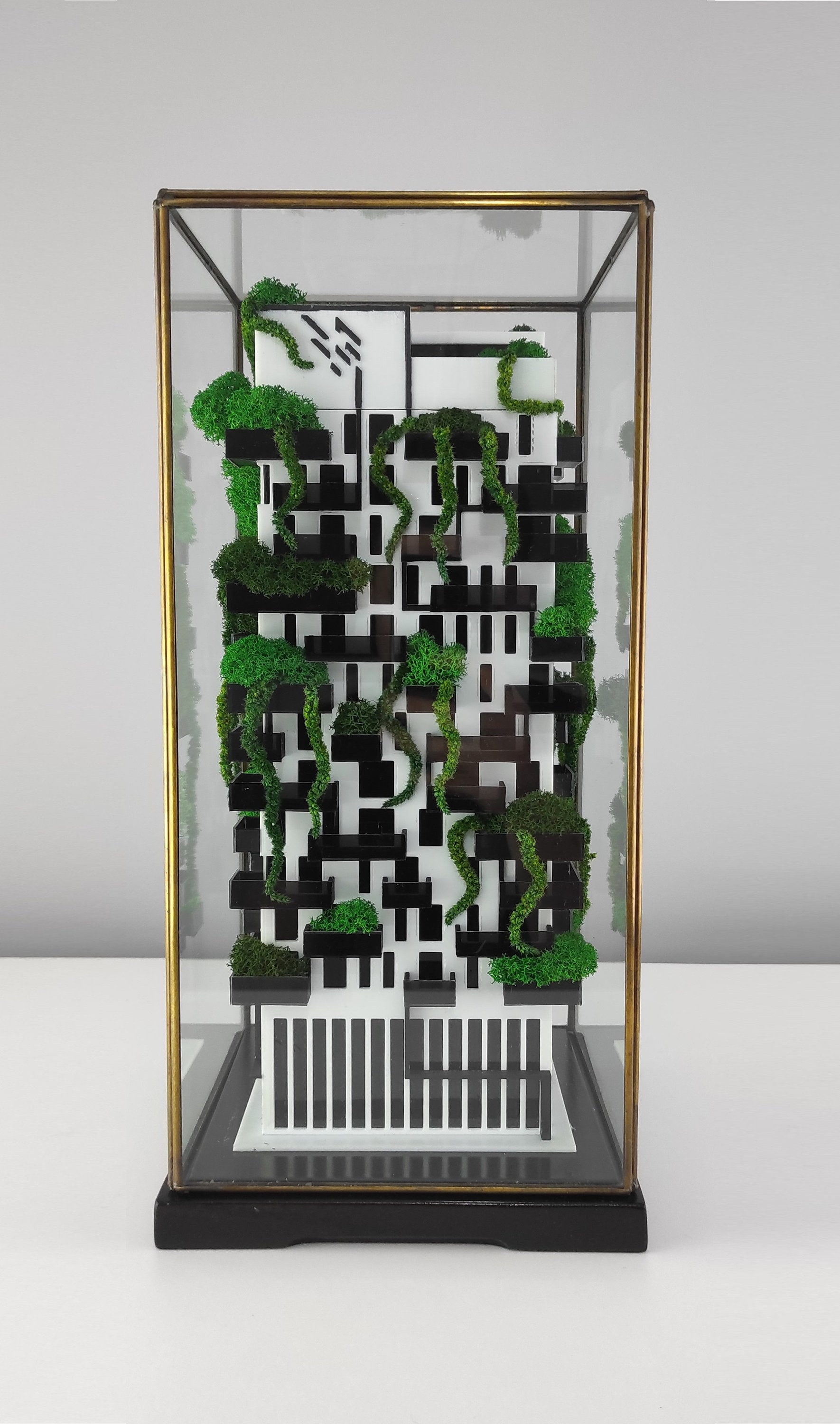 Preserved Moss Skyscraper in a Terrarium by Skygardeen - Etsy