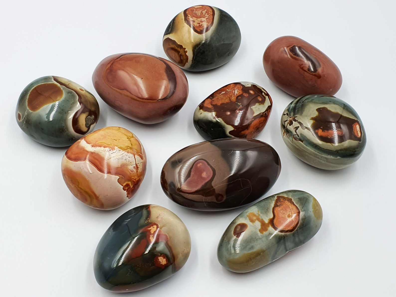 Picasso Jasper Palms A Grade | Etsy