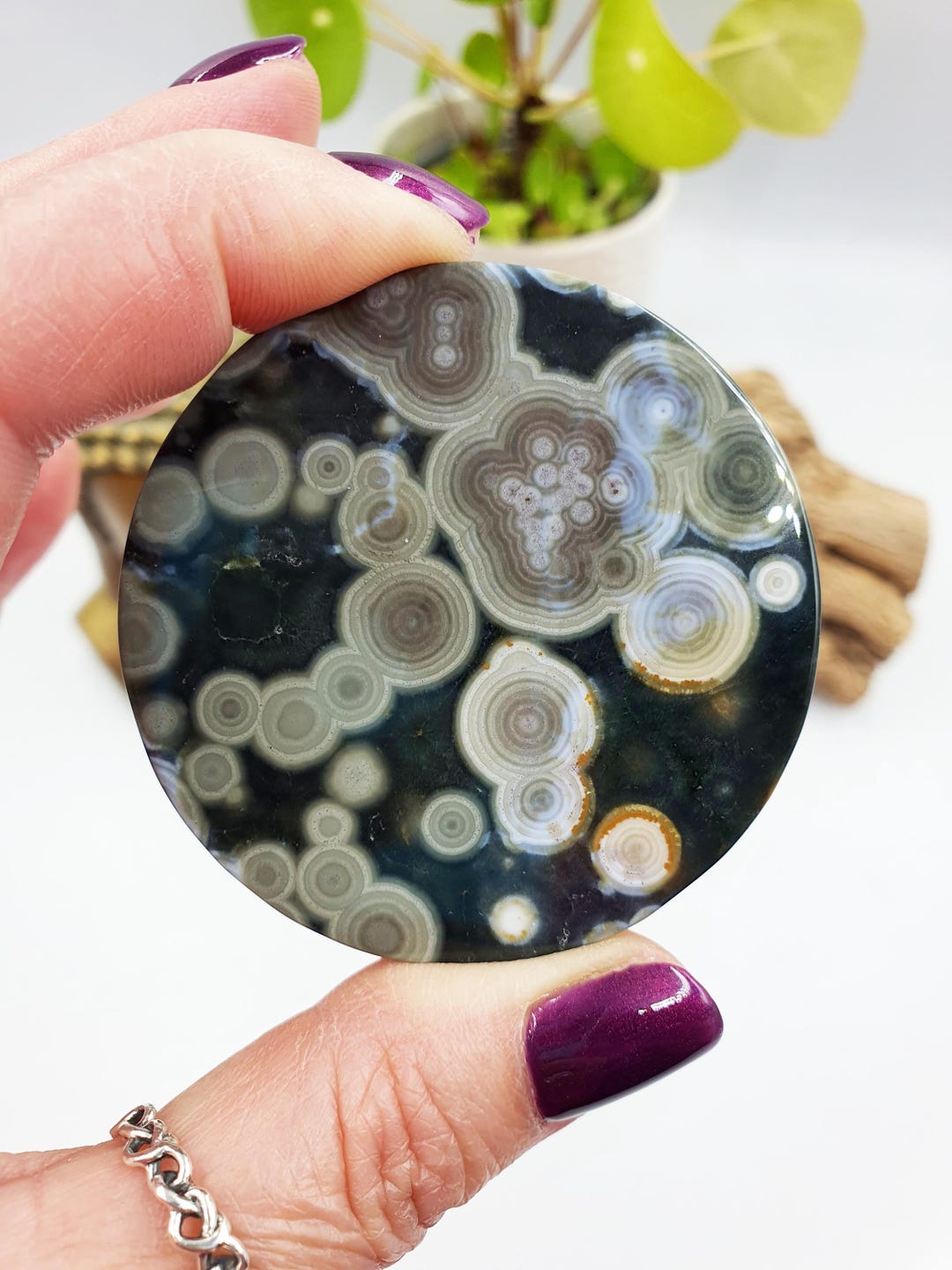 Beautiful Orbicular Ocean Jasper Disc / Orbicular OJ Freeform / High Grade OJ Crystal Slice / OJ ...