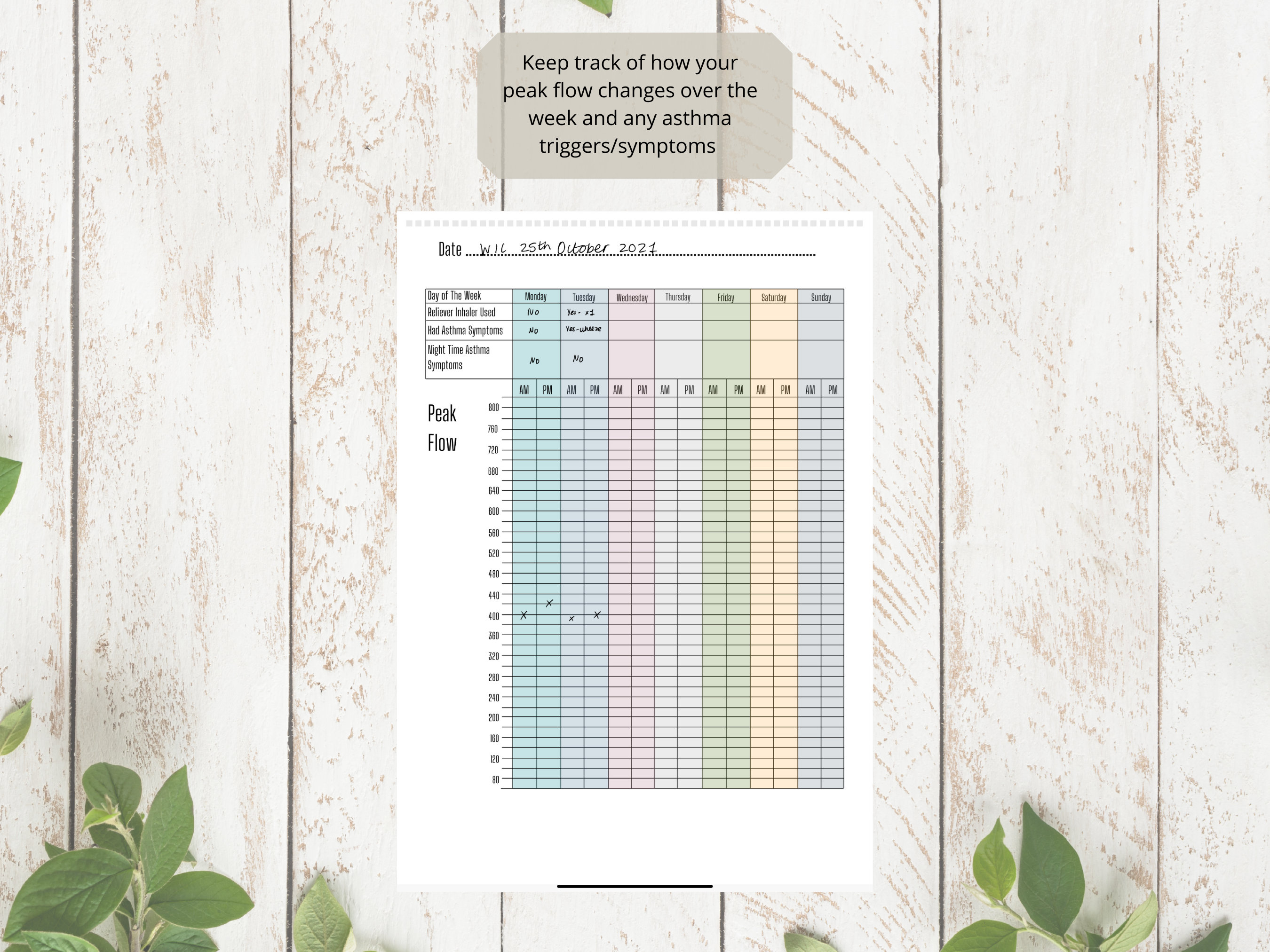 Asthma Peak Flow Log | Peak Flow Tracker | Medical Chart | Medical ...