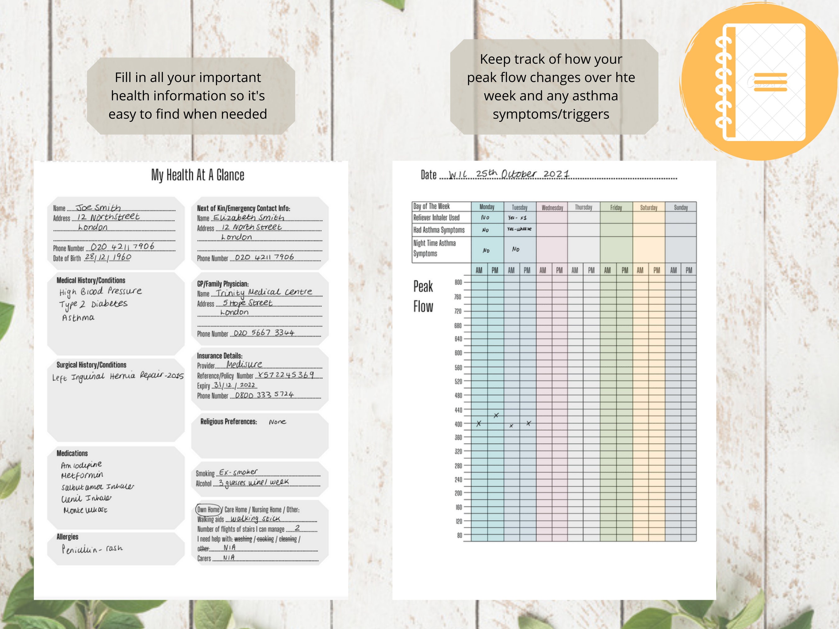 Asthma Peak Flow Log A5 | Peak Flow Tracker | Printed | Medical Chart ...