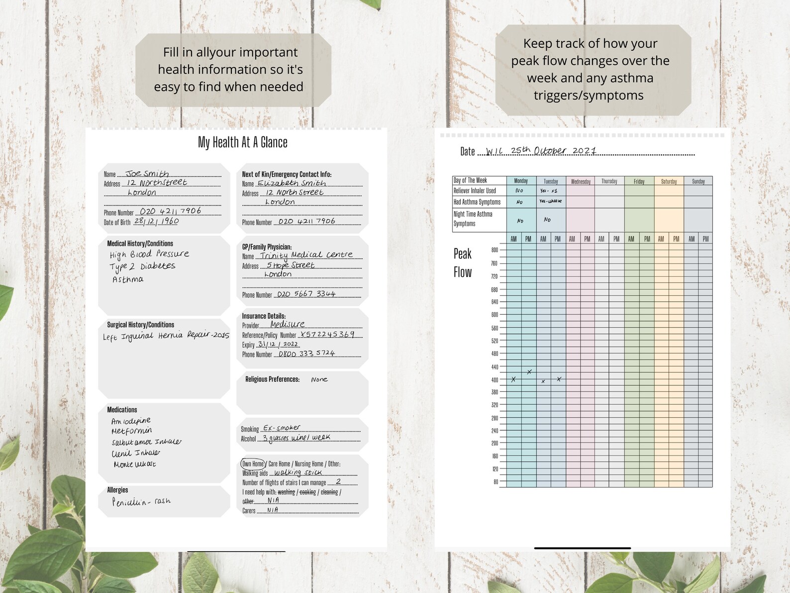 Asthma Peak Flow Log | Peak Flow Tracker | Medical Chart | Medical ...