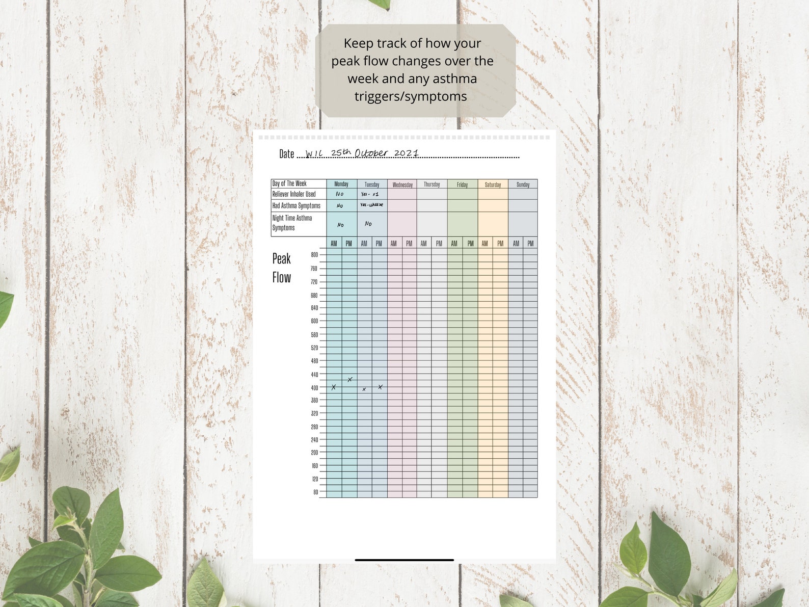Asthma Peak Flow Log | Peak Flow Tracker | Medical Chart | Medical ...