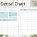 Dental Chart Dental Records Dental History Dentist Visit Notes Medical ...