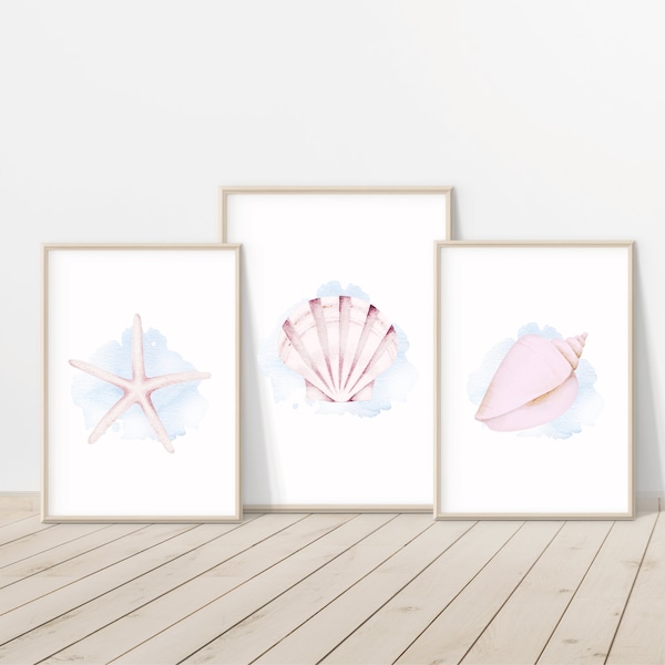 Seashell Print - Etsy