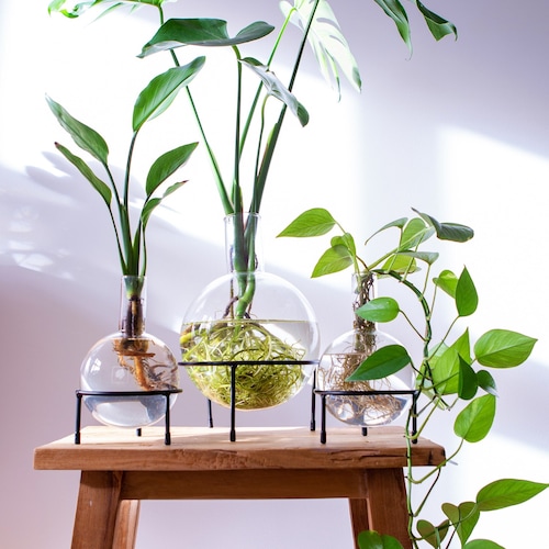 Glass Flower Pot in 3 Sizes With Stand Hand-blown - Etsy