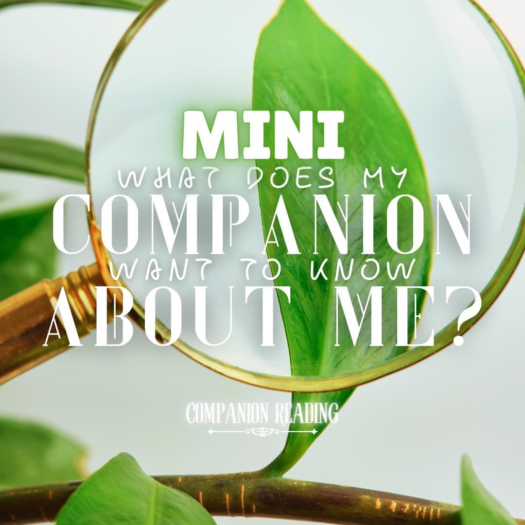 Mini What Does My Companion Want to Know About Me? | Spirit Keeping ...