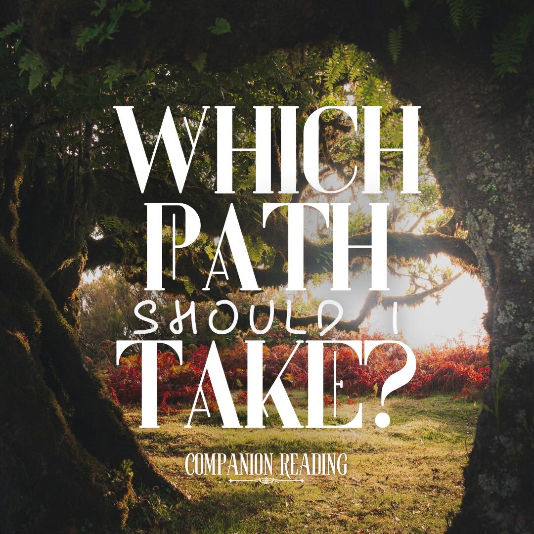 Which Path Should I Take? | Companion Tarot & Oracle Reading | Looking ...