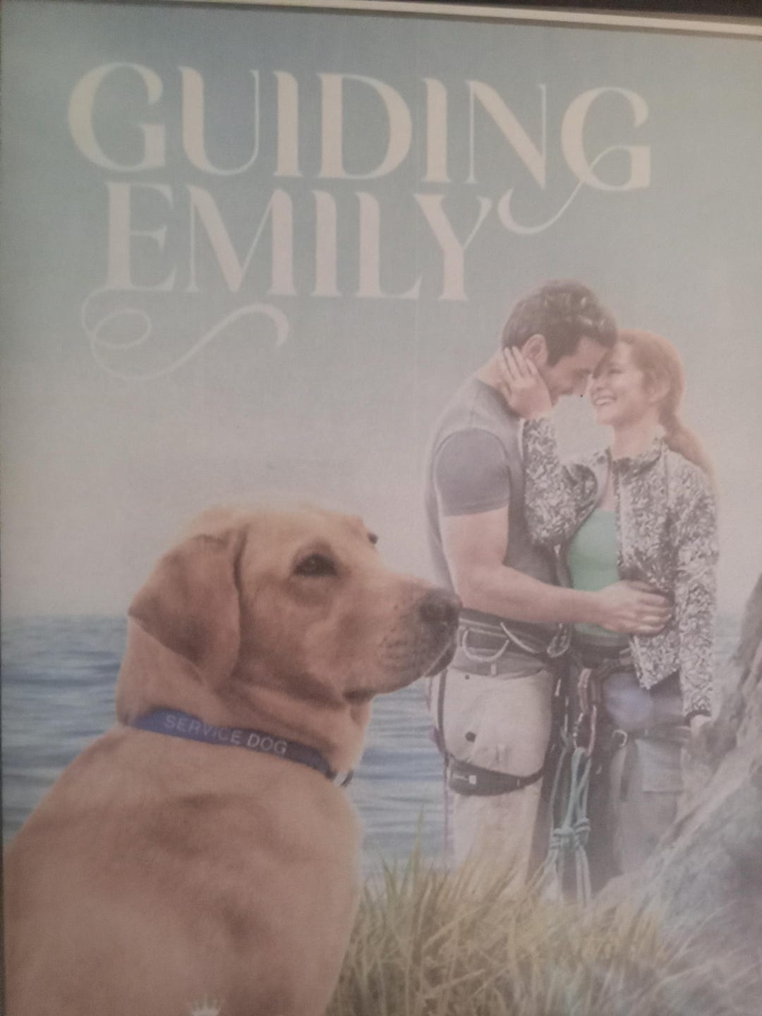 Guiding Emily DVD With Sarah Drew case and Artwork Included IN STOCK - Etsy