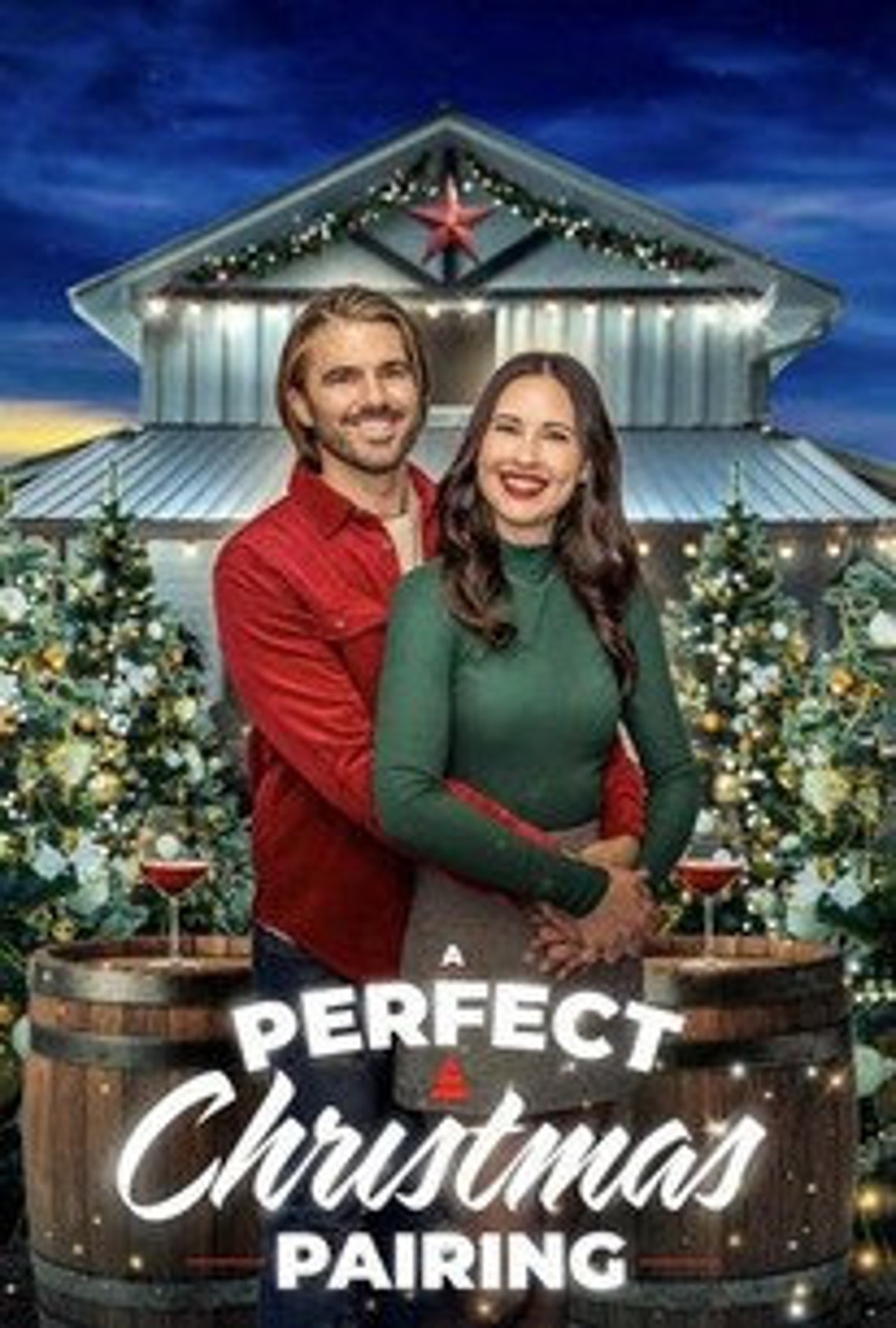 A Perfect Christmas Pairing DVD With Chris Connell in Stock Now SALE - Etsy