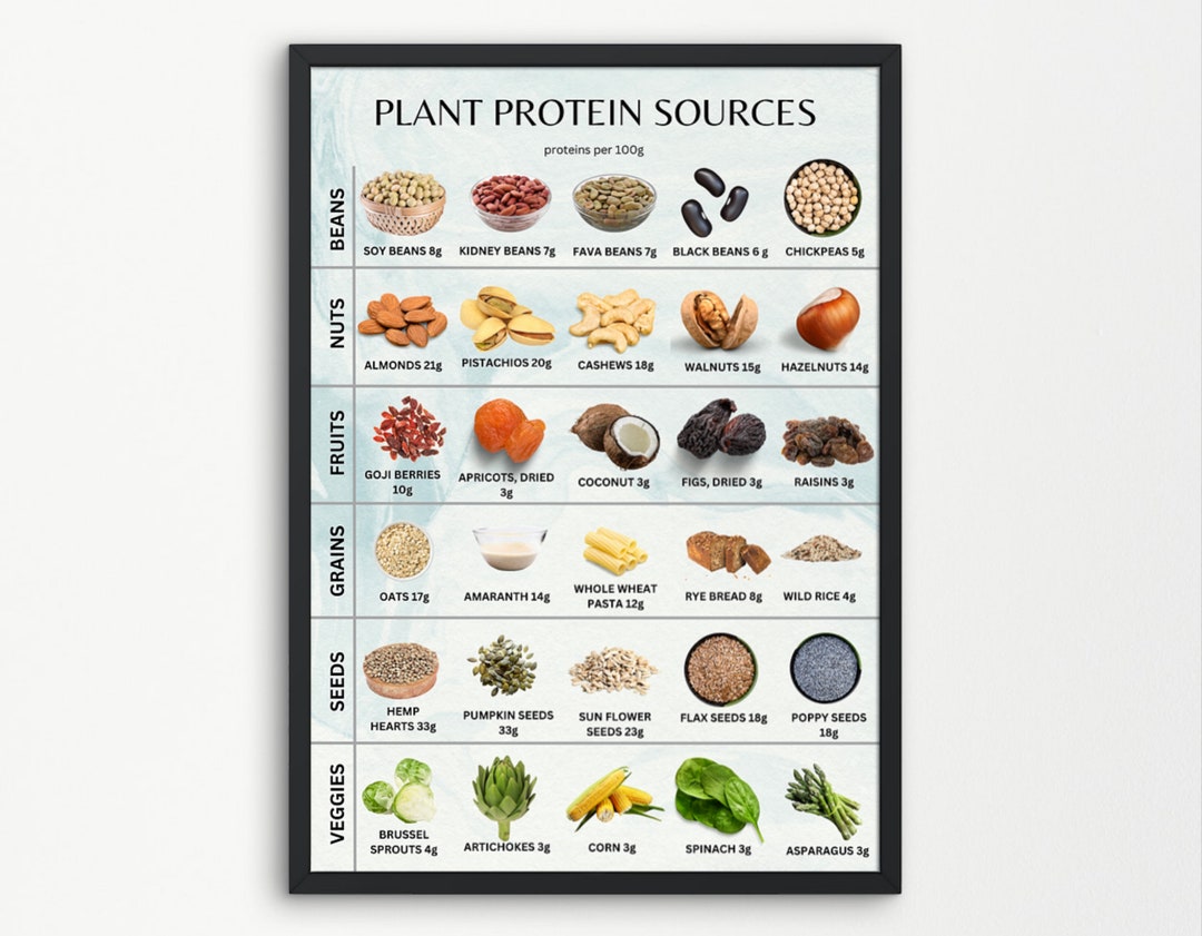 Vegan Protein Sources Chart, Best Plant Protein Sources Poster, Plant Based Diet Cheat Sheet ...