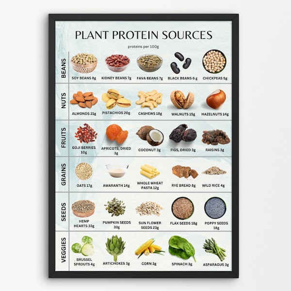 Plant Protein Chart - Etsy