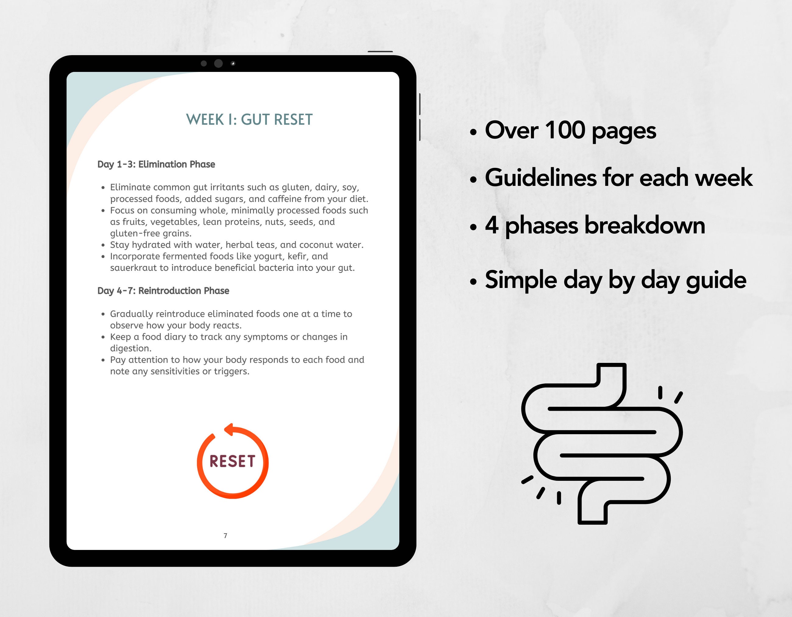 4 Week Gut Protocol Detox Meal Plan 28 Day Gut Cleanse Leaky Gut Health ...