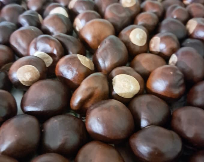 500+ Dimpled Buckeye Nuts by the Box - A USPS Medium Flat Rate Box ...