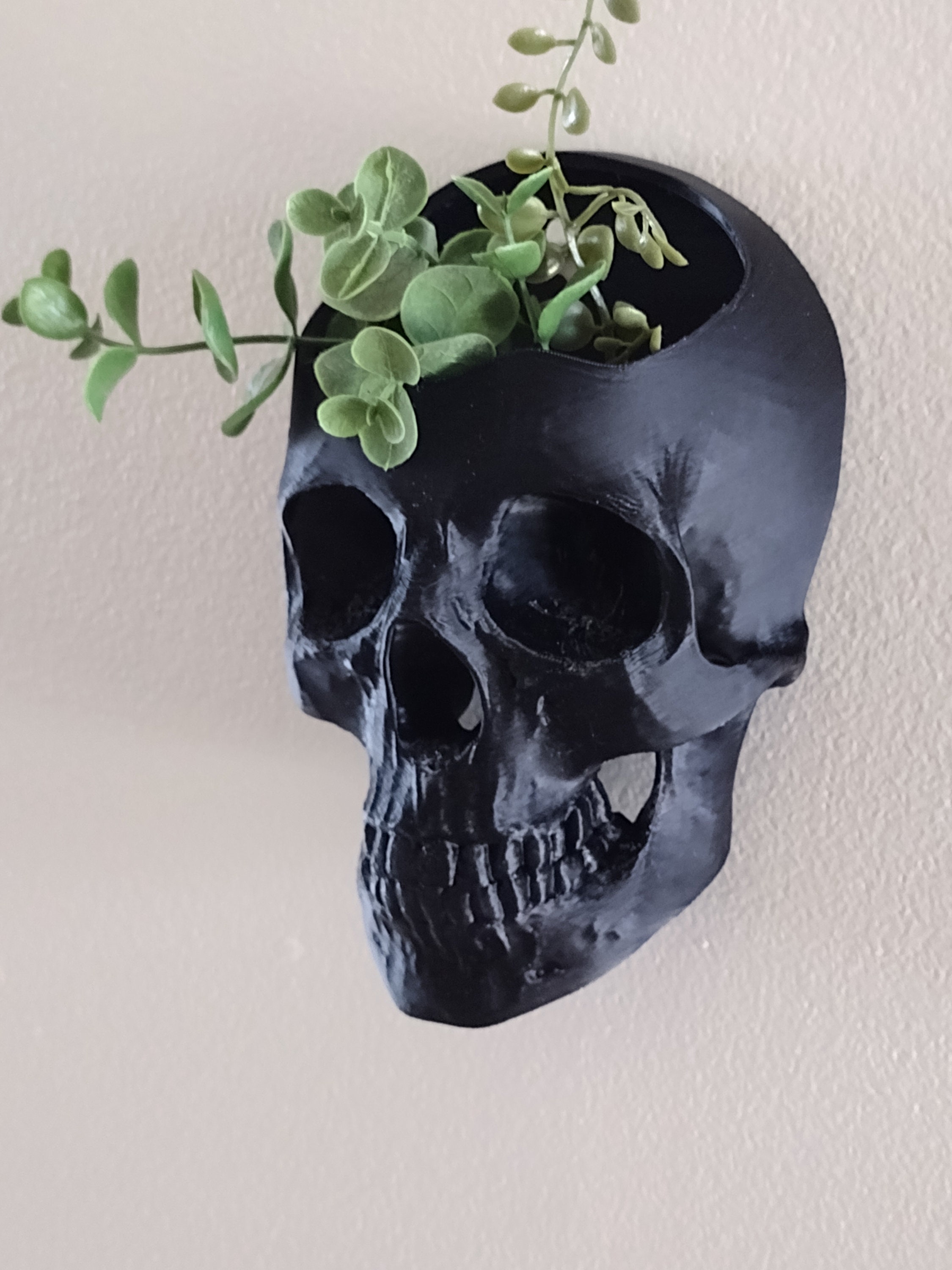 Wall Mounted Skull Planter, Skull Planter. Free Shipping - Etsy