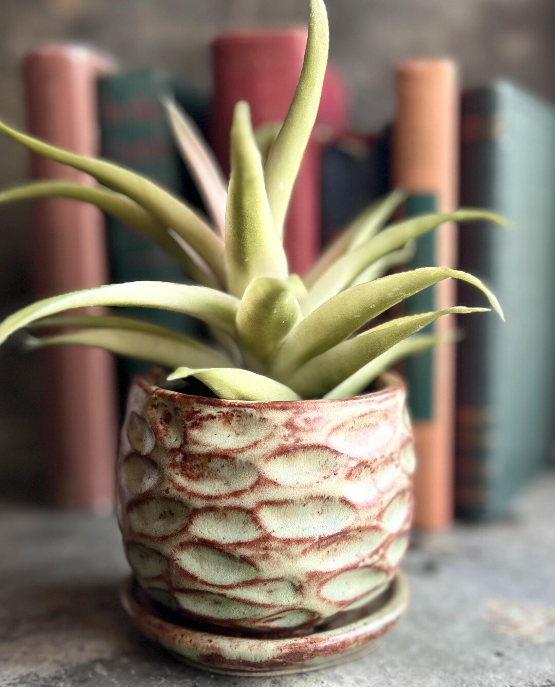 Rustic Micro Planter, Handmade, Matte Earthy Green, Faceted Texture ...