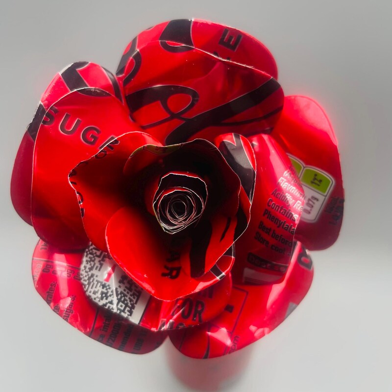 Sugar in Can of Soda - Etsy UK