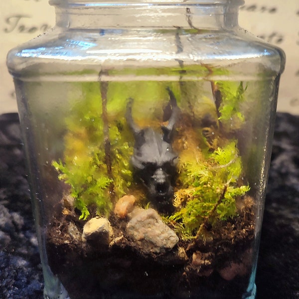 Fairy Garden Dragon - Etsy UK