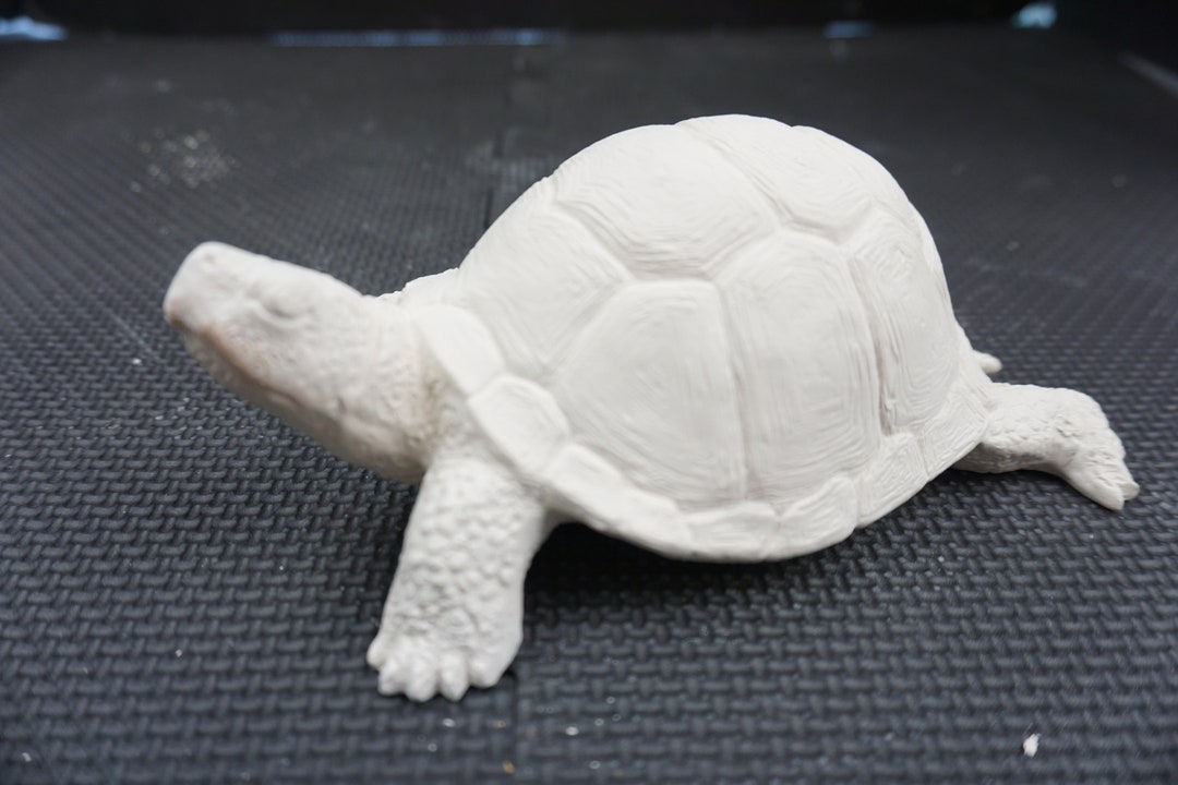 Unpainted Ceramic Bisque, Box Turtle - Etsy