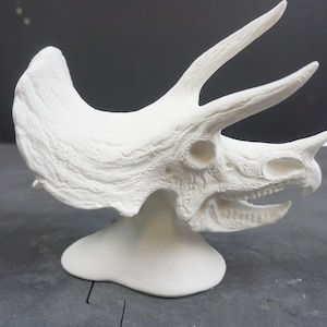 Unpainted Ceramic Bisque, Triceratops Skull - Etsy