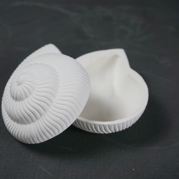 Shell Container - Etsy