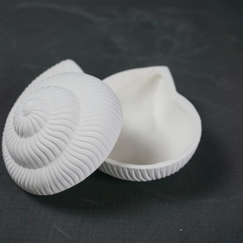 Shell Container - Etsy