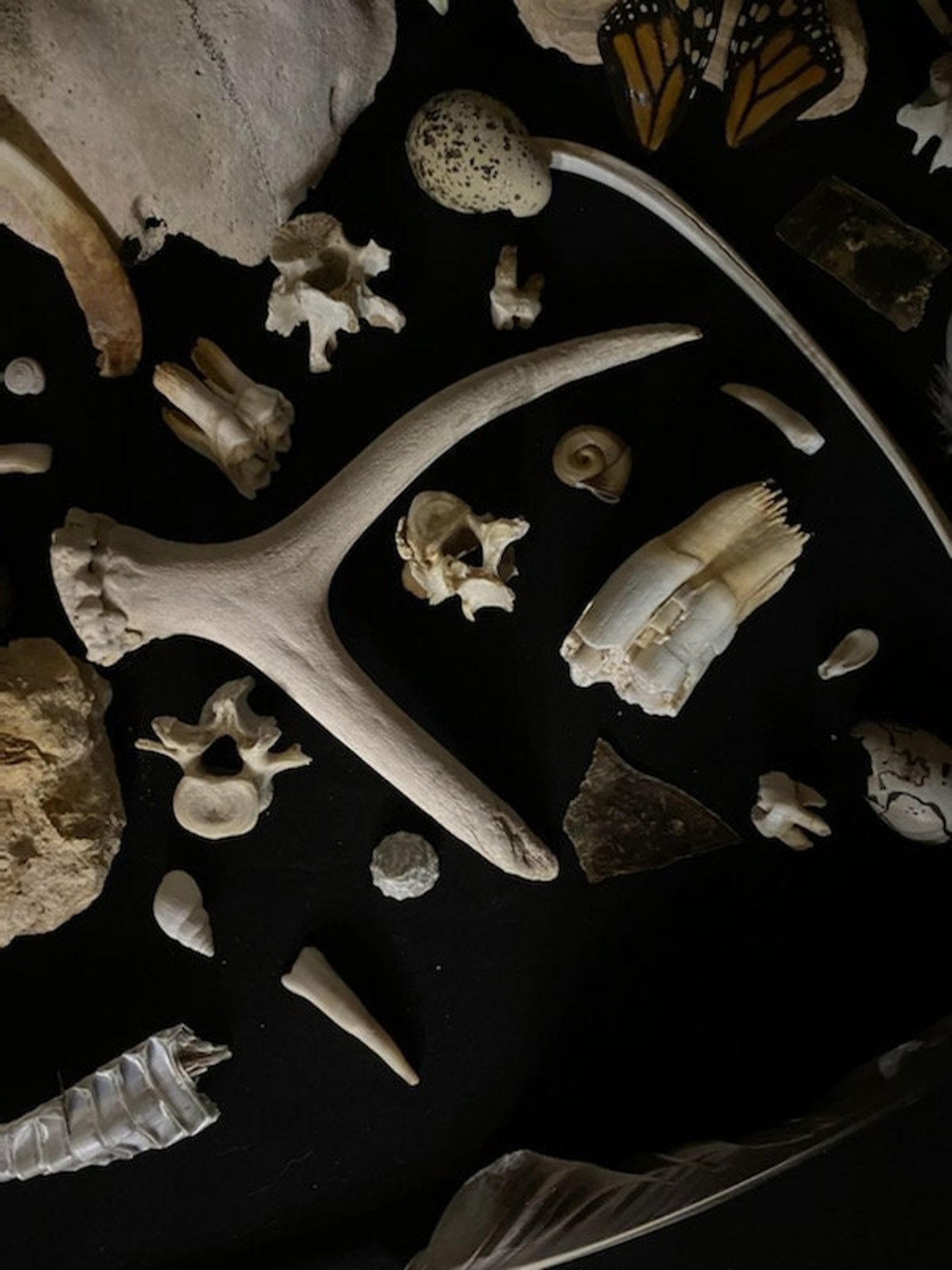 Small Oddities Mystery Box - Etsy