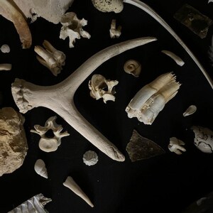 Small Oddities Mystery Box - Etsy