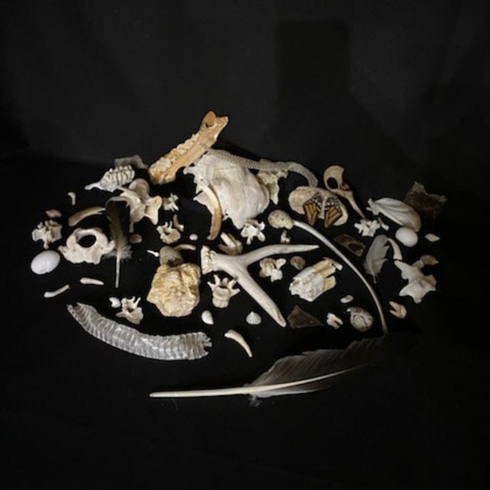 Small Oddities Mystery Box - Etsy