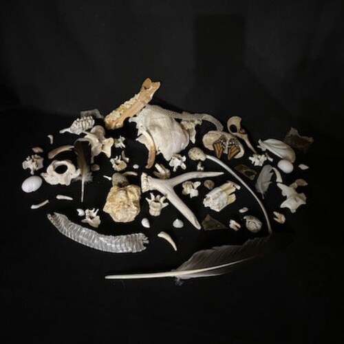 Small Oddities Mystery Box - Etsy