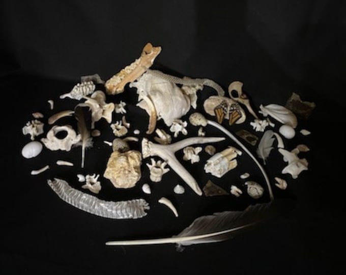 Small Oddities Mystery Box - Etsy